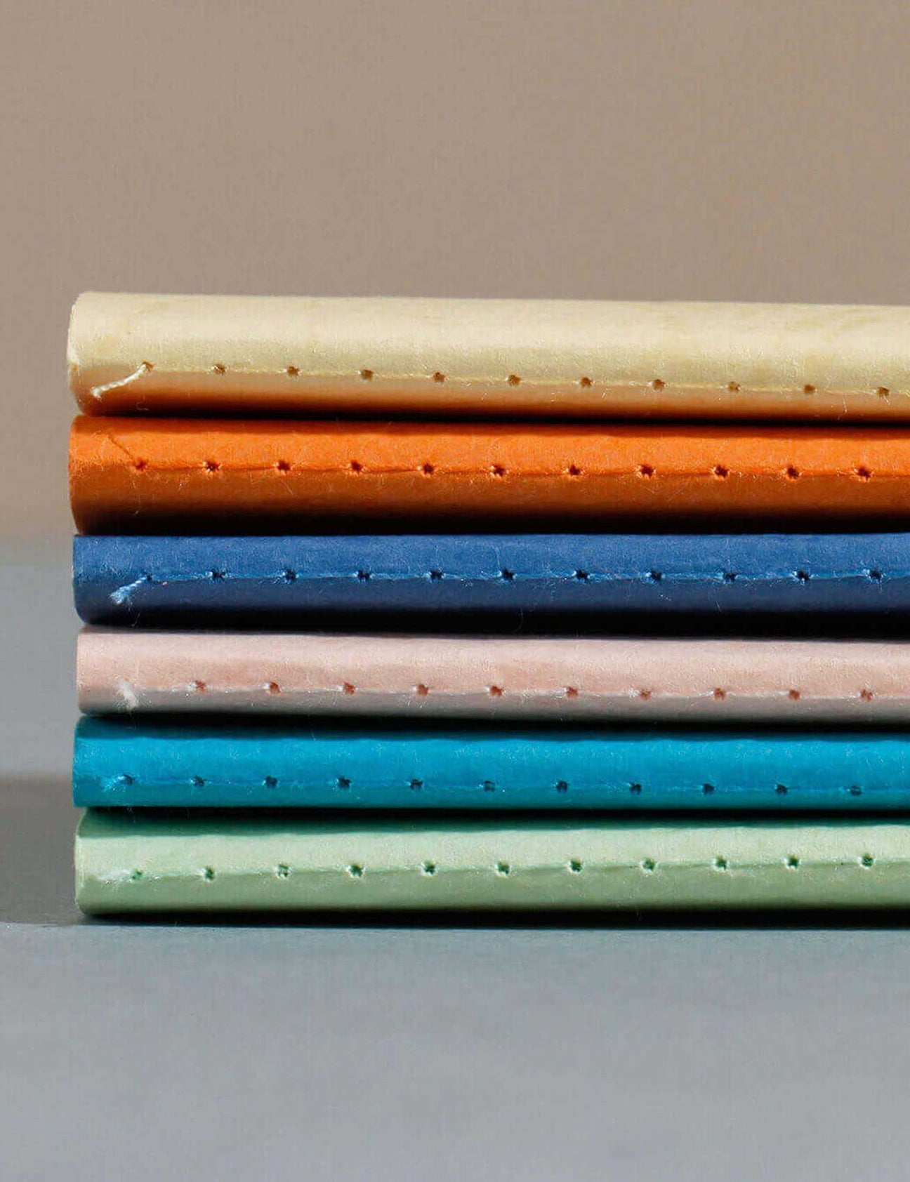 Set A—555 Notebook – ana tomy