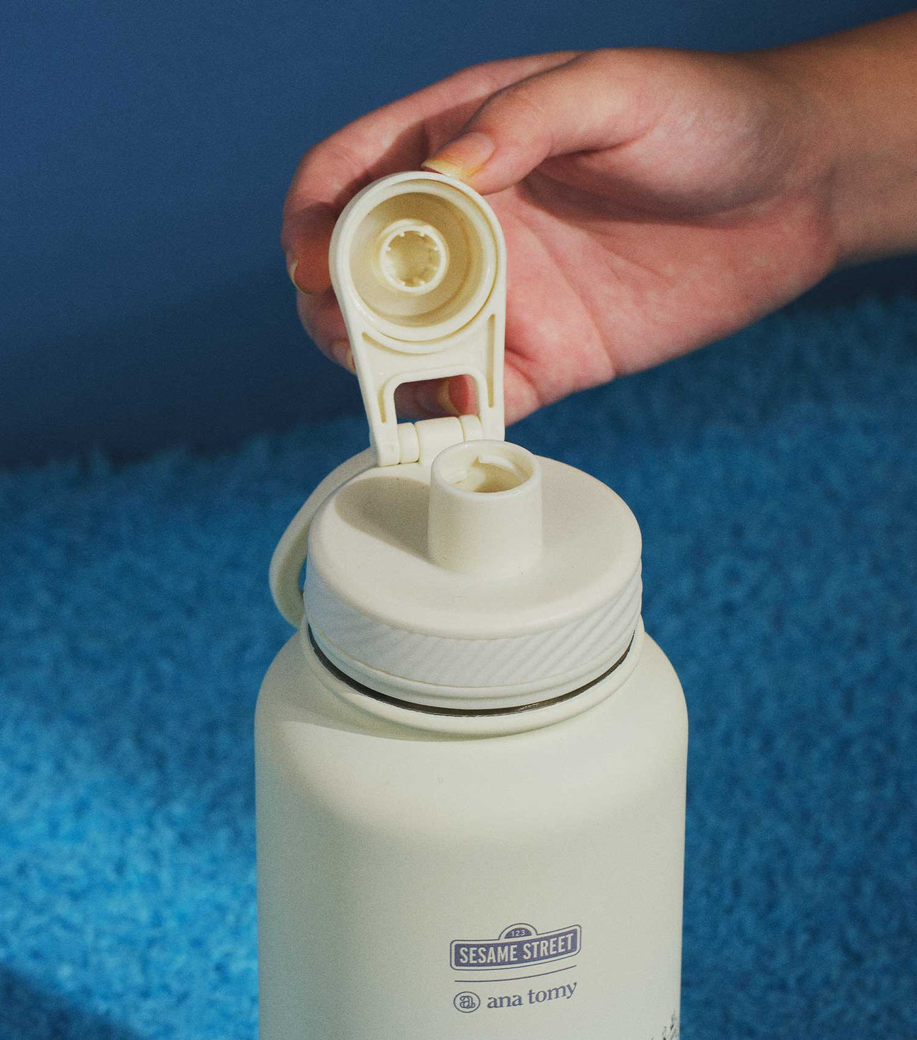 Sesame Street™ Edition – ana tomy