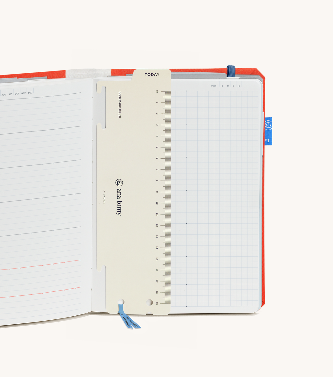 Peanuts 'Running Snoopy'—A5s Trio Book – Ana Tomy