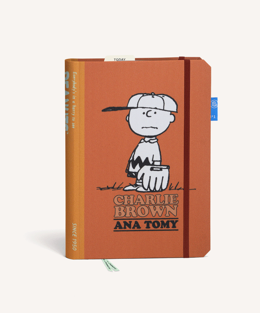 Peanuts 'Running Snoopy'—A5s Trio Book – Ana Tomy