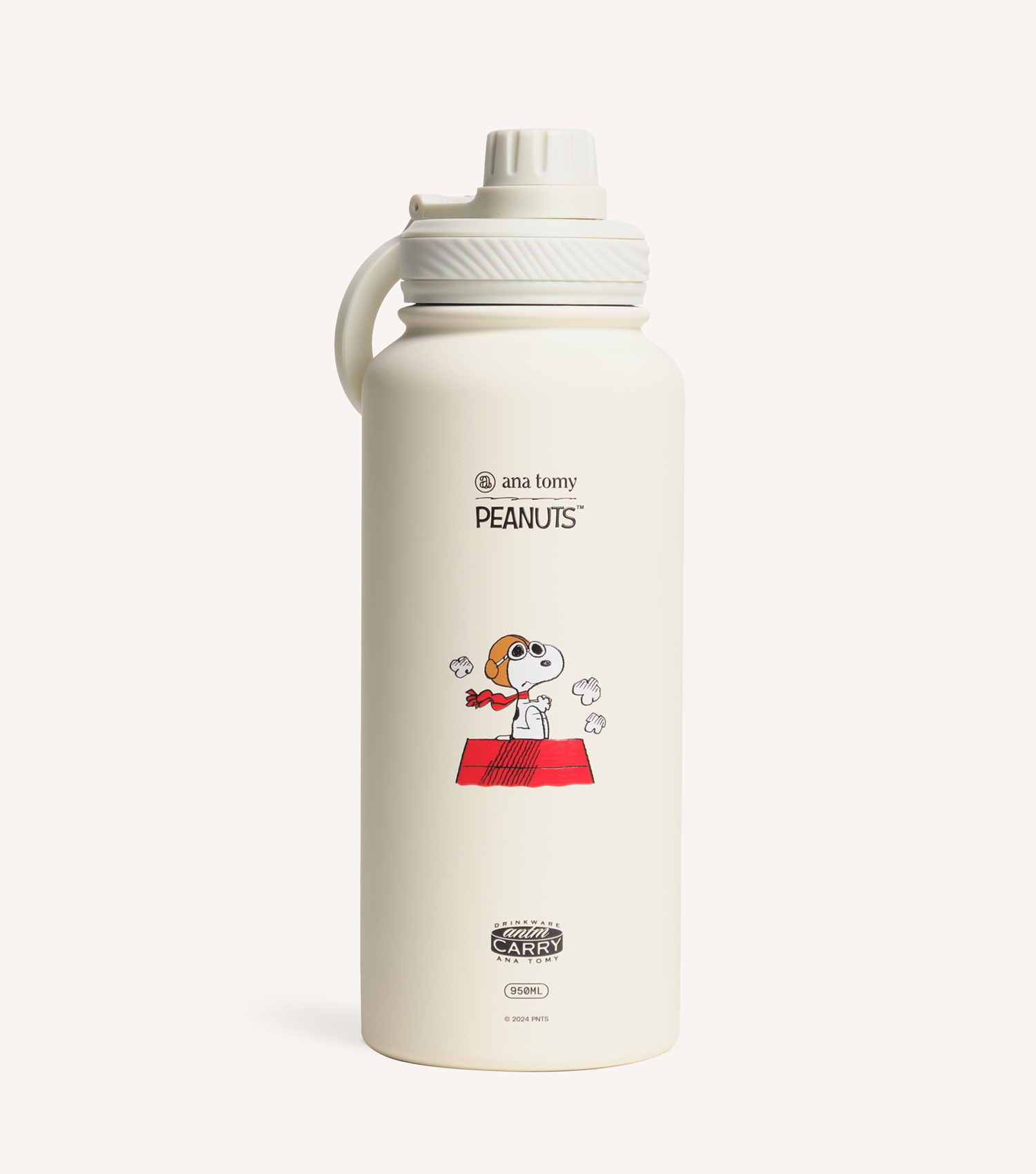 Insulated Bottle – Ana Tomy