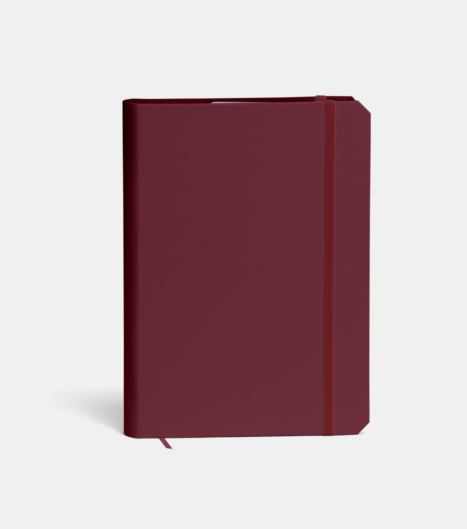 Trio Book – ana tomy