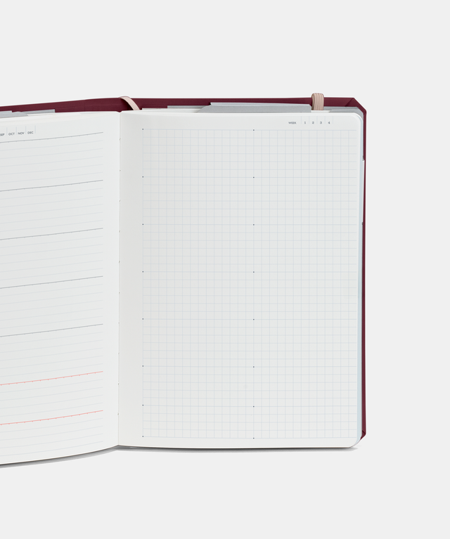 Trio Book – ana tomy