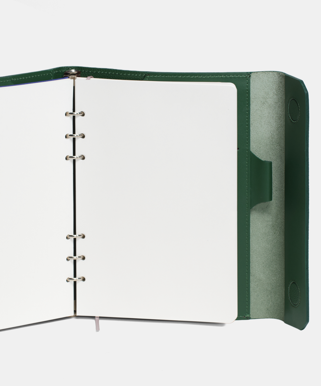 Binder Series – ana tomy